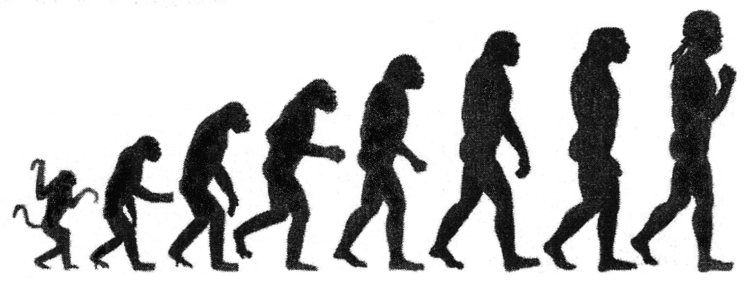 Evolution des Menschen - Geschichte kompakt